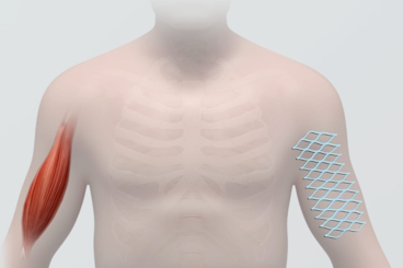 Interface Focus | The Royal Society
