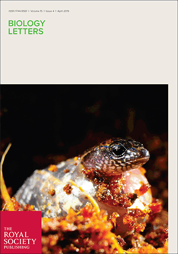 Recurrent evolution of extreme longevity in bats | Biology Letters ...