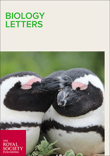 Tactile bill-tip organs in seabirds suggest conservation of a deep ...