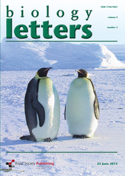 Stick tight: suction adhesion on irregular surfaces in the northern ...