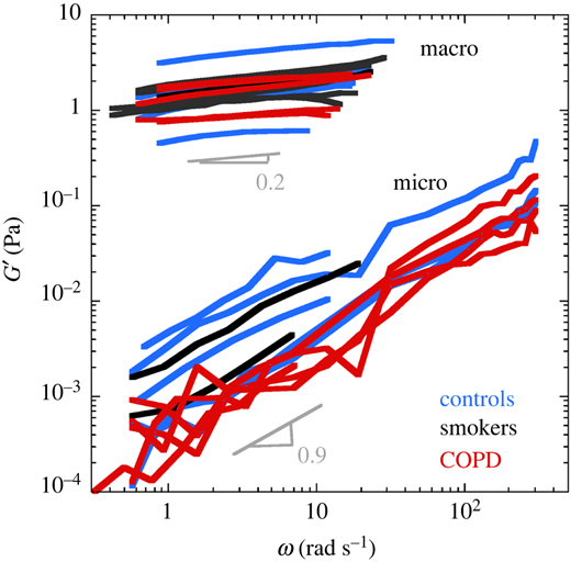 Mucus from human bronchial epithelial cultures: rheology and adhesion ...