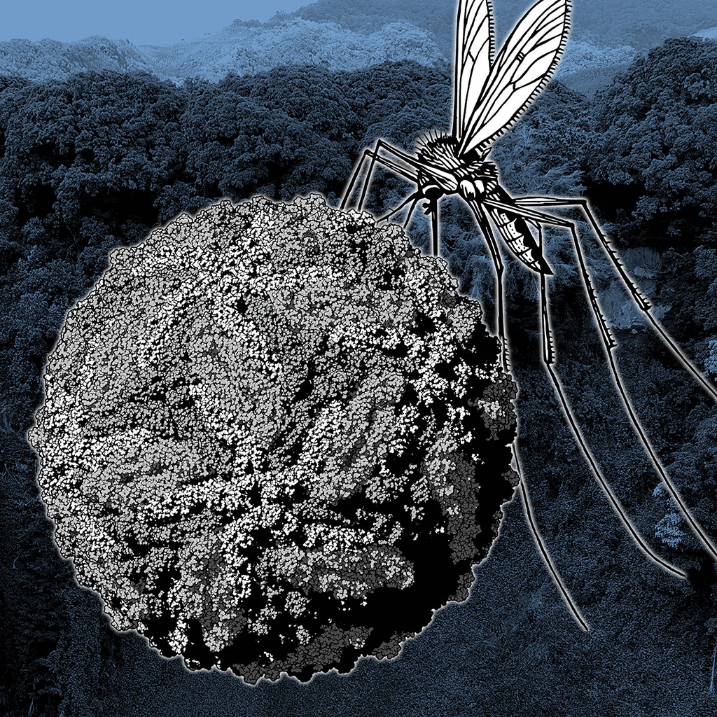 Volume 10 Issue 1 | Interface Focus | The Royal Society