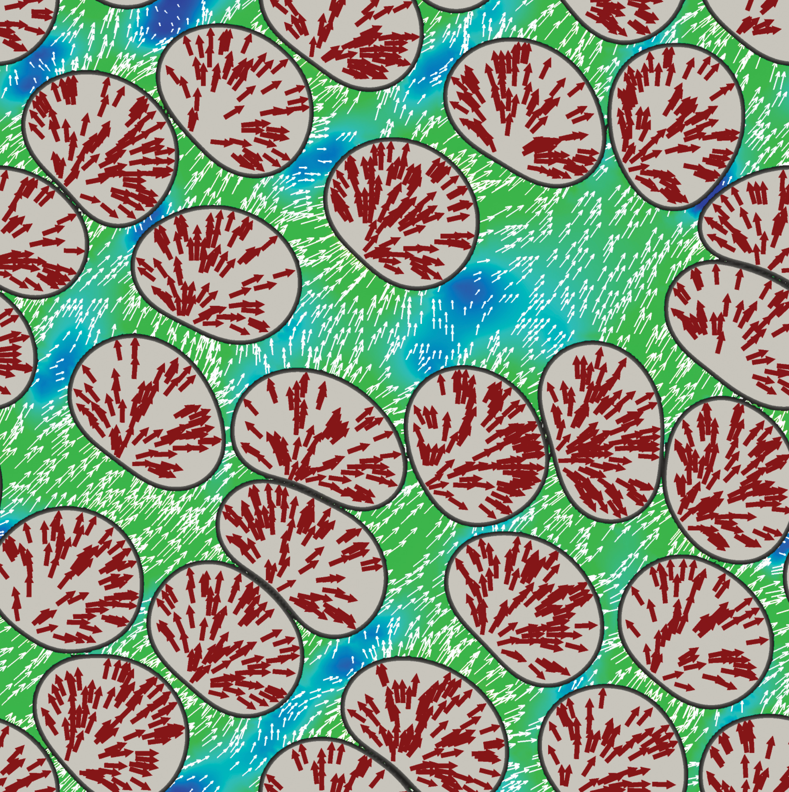 Volume 6 Issue 5 | Interface Focus | The Royal Society