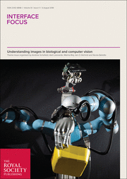 Colour and illumination in computer vision | Interface Focus | The ...