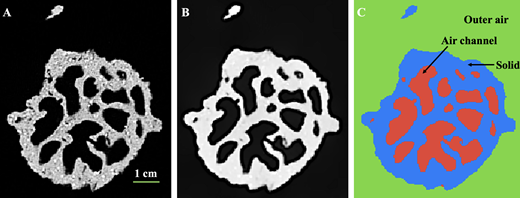 Termite mound architecture and climate control: a review of X-ray ...