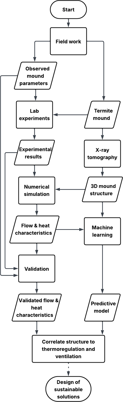 Termite mound architecture and climate control: a review of X-ray ...