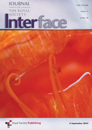 Onset of virus systemic infection in plants is determined by speed of ...