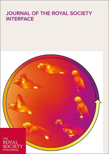 Finite element modelling of sound transmission in the Weberian ...