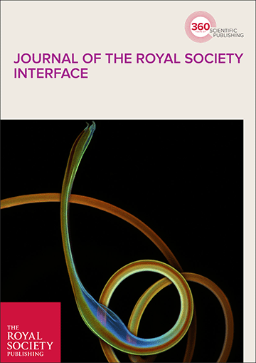 In silico study of the dynamics of solid food particles in the stomach ...
