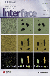 Statistical analysis of the dynamics of antibody loss to a disease ...