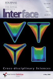 Fluid mechanics of nodal flow due to embryonic primary cilia | Journal ...