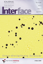 Analytical modelling of Kirschner wires in Ilizarov circular external ...
