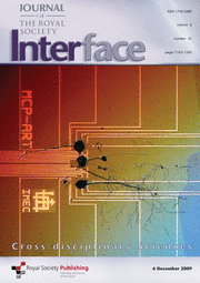 Recent advances in the analysis of behavioural organization and ...