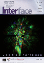 Decreasing stochasticity through enhanced seasonality in measles ...
