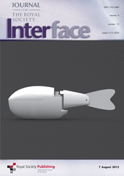 Fish and robots swimming together: attraction towards the robot demands ...