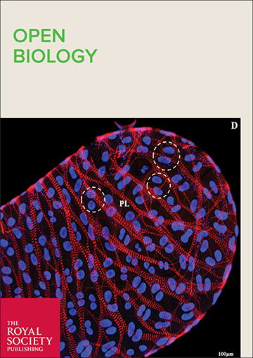The three-component helicase/primase complex of herpes simplex virus-1 ...