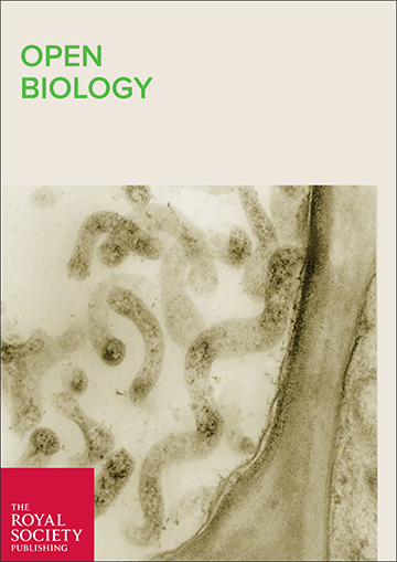Hoxa9/meis1-transgenic zebrafish develops acute myeloid leukaemia-like ...