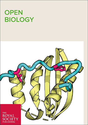 7-Nitroindazole reduces L-DOPA-induced dyskinesias in non-human ...
