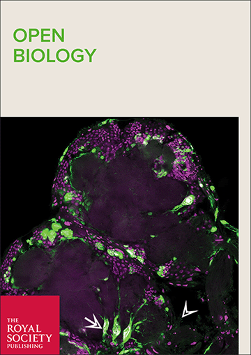 Combining single-molecule and expansion microscopy in fission yeast to ...