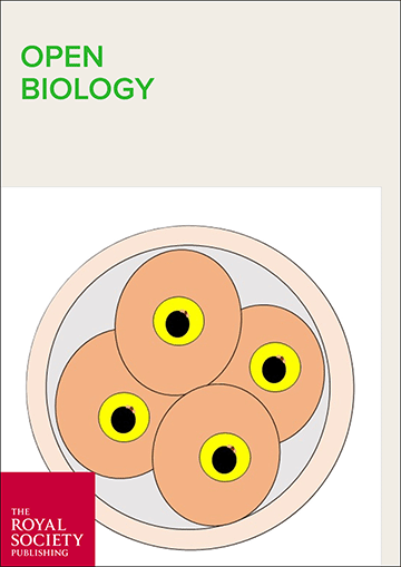 CNTN4 modulates neural elongation through interplay with APP | Open ...