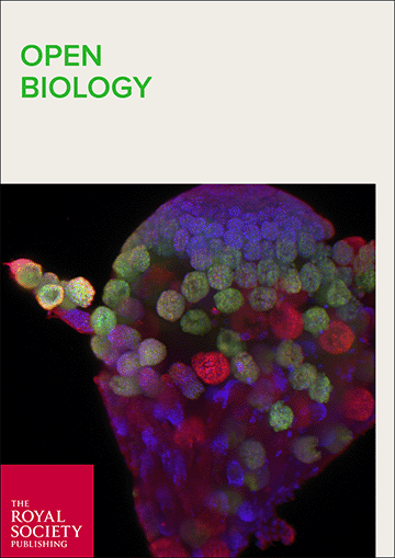 Human EWS-FLI protein levels and neomorphic functions show a complex ...