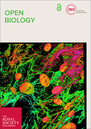 Bone marrow endosteum in homeostasis and metastasis | Open Biology ...