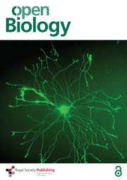 Regulation of neurite growth by tumour necrosis superfamily member ...