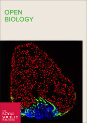 Recent advances in dynamic m6A RNA modification | Open Biology | The ...