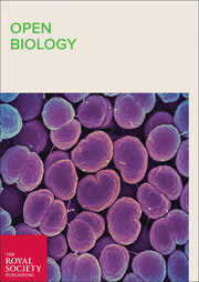 In vivo myosin step-size from zebrafish skeletal muscle | Open Biology ...