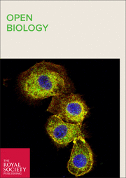 Visualizing the complex functions and mechanisms of the anaphase ...