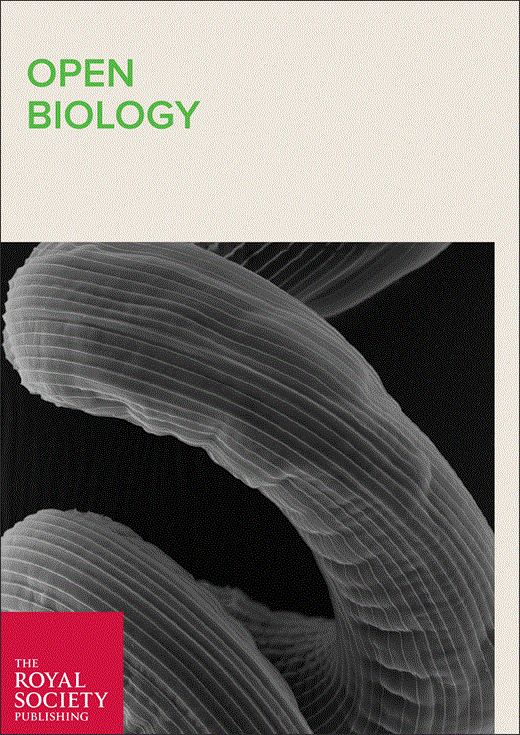 The diverse small proteins called odorant-binding proteins | Open ...