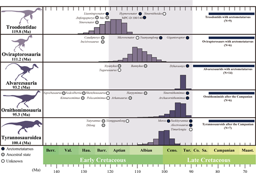 Cursorial ecomorphology and temporal patterns in theropod dinosaur ...