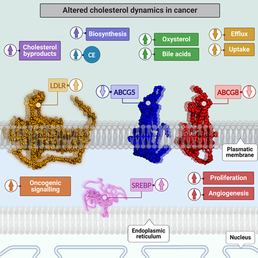 Cholesterol: an ancient ally or modern menace? | Royal Society Open ...