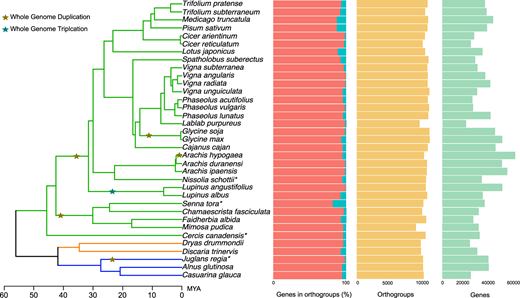 Gene family expansions and nodule-specific expression patterns reveal ...