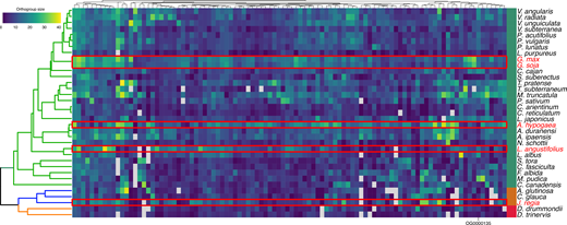 Gene family expansions and nodule-specific expression patterns reveal ...
