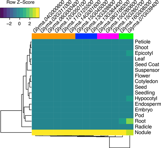 Gene family expansions and nodule-specific expression patterns reveal ...