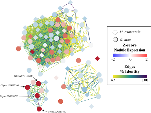 Gene family expansions and nodule-specific expression patterns reveal ...