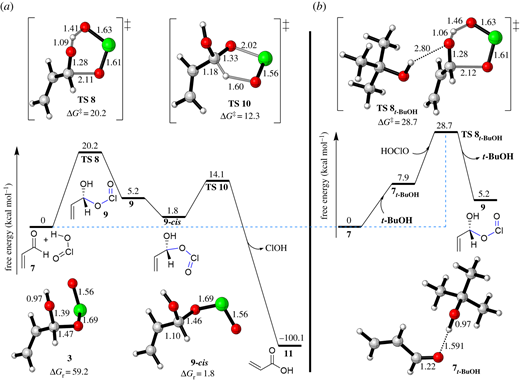 Mechanistic investigations on Pinnick oxidation: a density functional ...