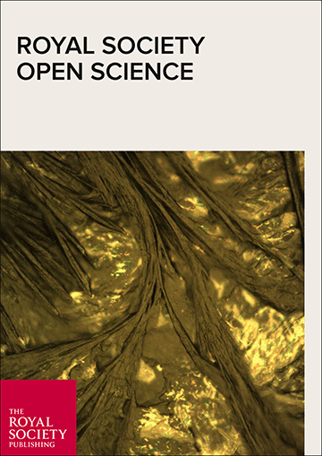 Towards algorithm auditing: managing legal, ethical and technological ...