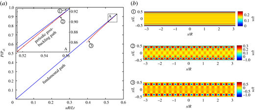 On the role of localizations in buckling of axially compressed ...