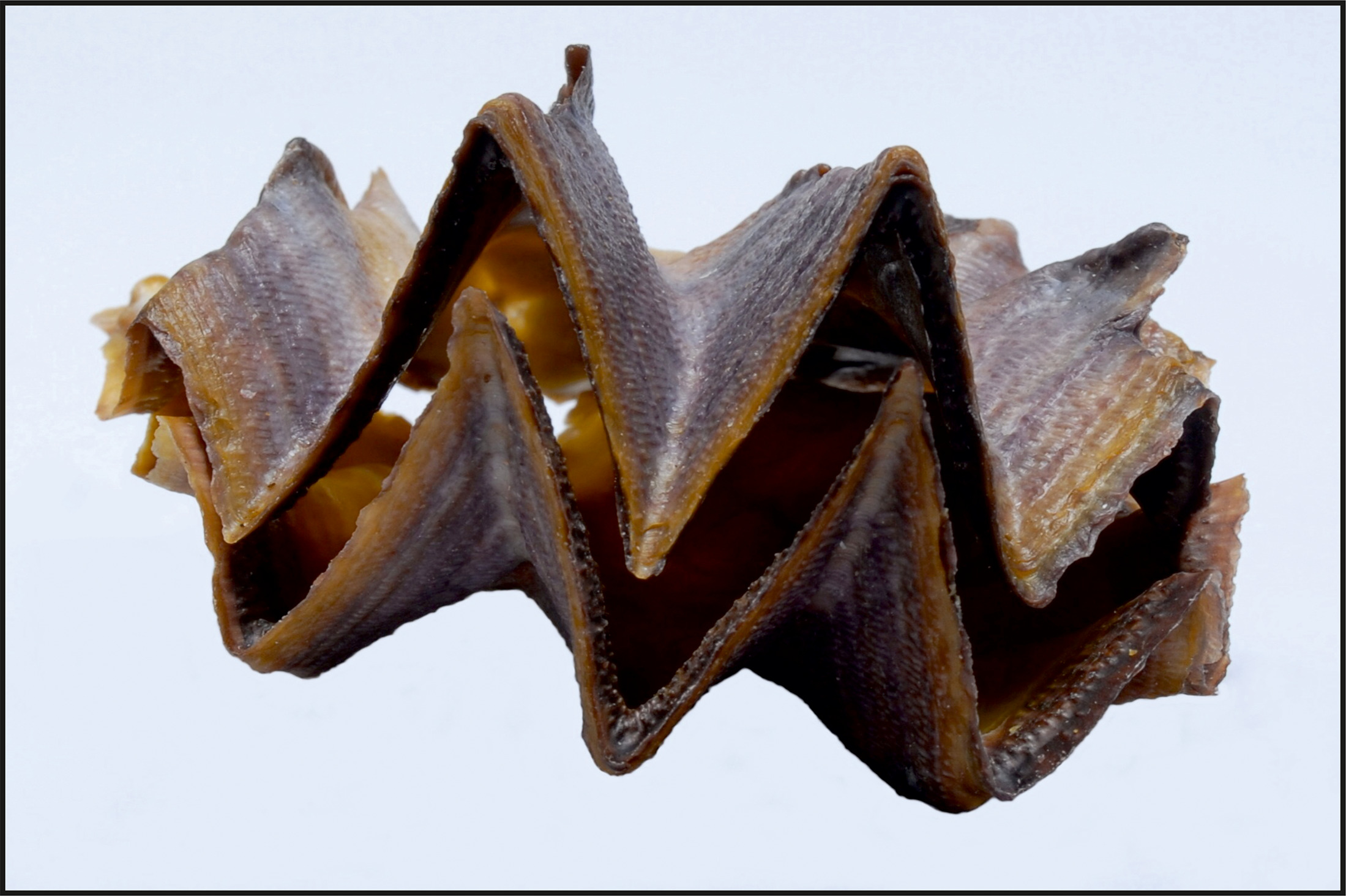 Volume 472 Issue 2187 | Proceedings A | The Royal Society