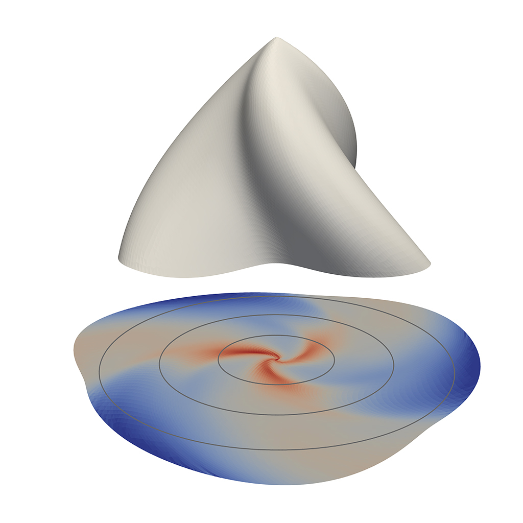 Volume 481 Issue 2306 | Proceedings A | The Royal Society