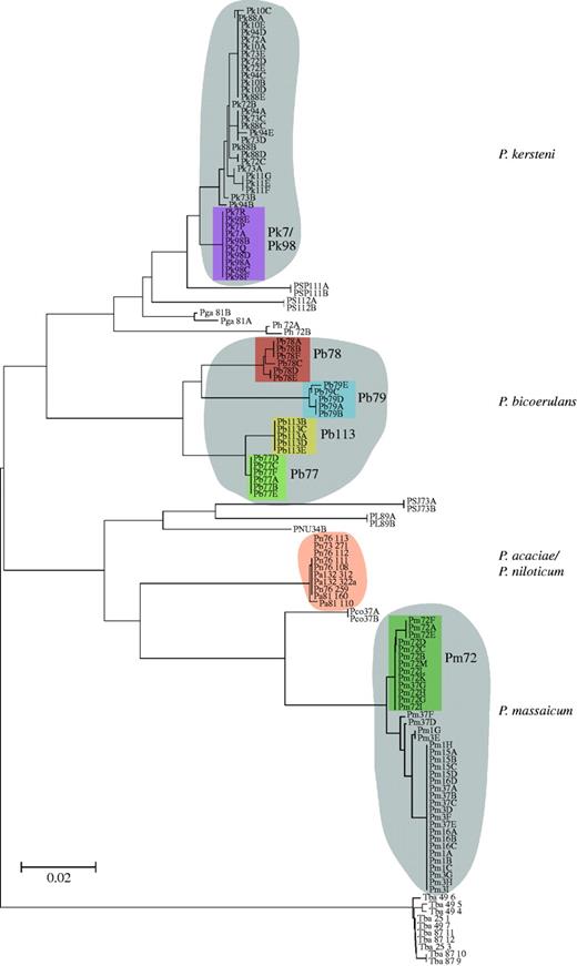 Character-based DNA barcoding allows discrimination of genera, species ...