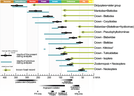 An integrative phylogenomic approach illuminates the evolutionary ...
