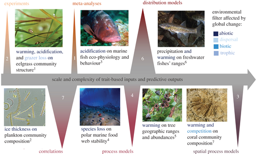 Trait-based approaches to global change ecology: moving from ...