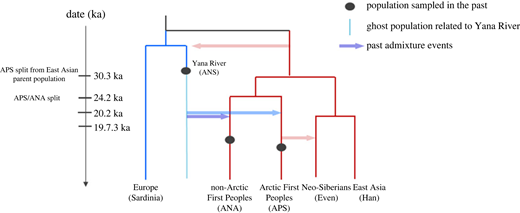Beringia and the peopling of the Western Hemisphere | Proceedings B ...