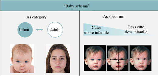 Lorenz’s classic ‘baby schema’: a useful biological concept ...