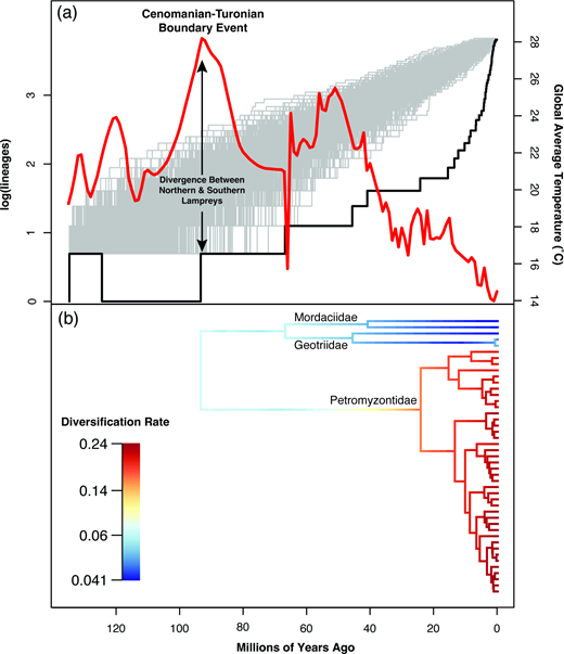 Phylogenomic resolution of lampreys reveals the recent evolution of an ...