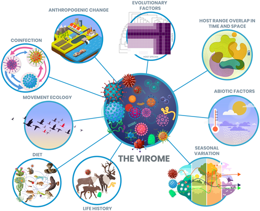 Making sense of the virome in light of evolution and ecology ...