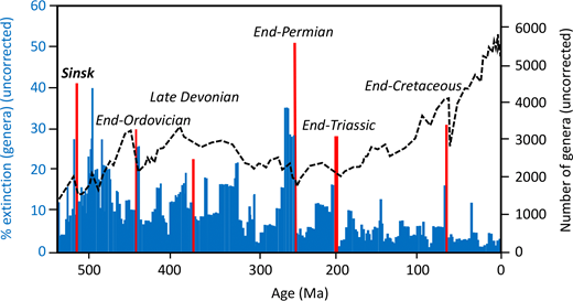 Changes in metazoan functional diversity across the Cambrian Radiation ...